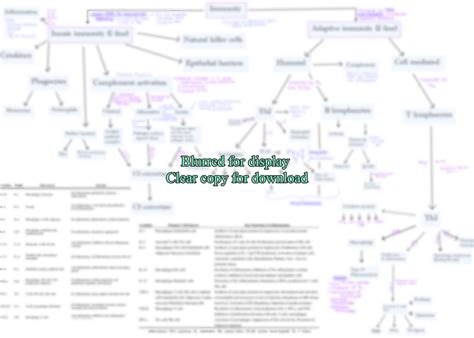 Adaptive And Innate Immunity Detailed Mind Map Etsy