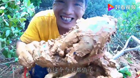 刀仔赶海抓对地方了，徒手抓一堆大青蟹，还抓到膏蟹和罕见软壳蟹 Youtube