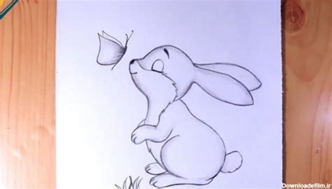 عکس طراحی حیوان ساده