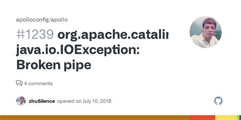 nnector clientabortexception ioexception