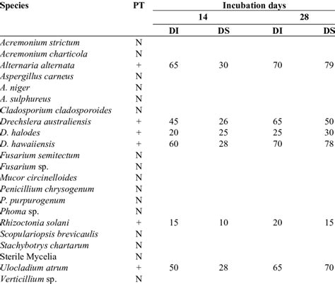 Pathogenecity Test Pt Of Isolated Fungi And Testing Of Positive