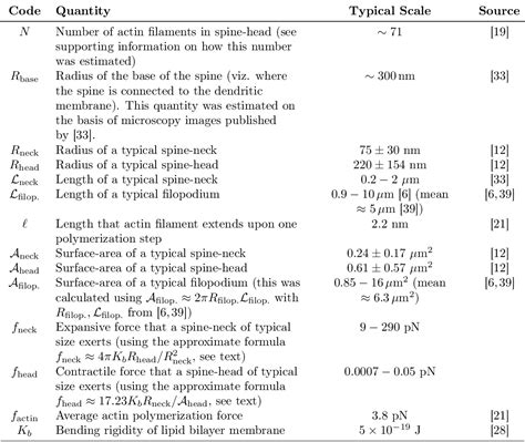 Table 1 From Biophysical Model Of The Role Of Actin Remodeling On Dendritic Spine Morphology