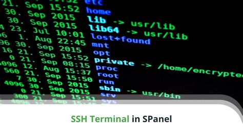 Spanel Control Panel Scalahosting Blog