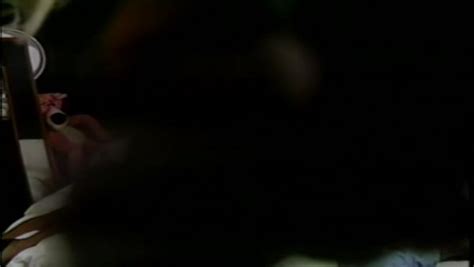 Worst Porno Ever Made With The Best Sex By Pleasure Productions Hotmovies