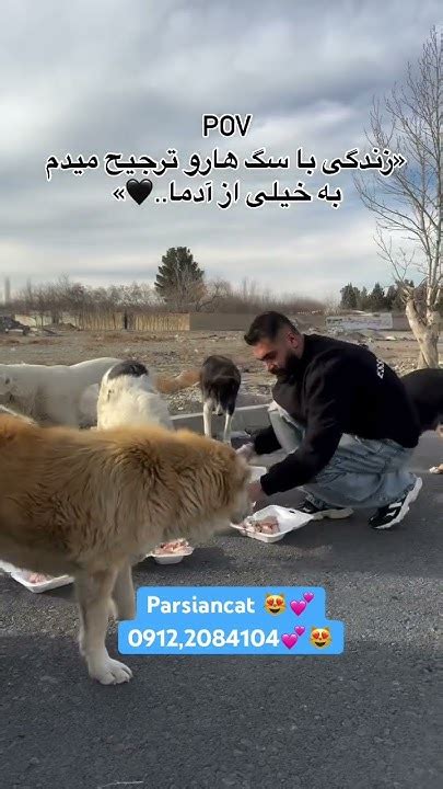 زندگی کردن در کنار سگ ها و گربه ها و همه حیوانات و ترجیح می دم به همه ادم های انسان نما گربهسگ