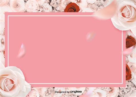 Pink Valentines Day Background With Simple Rose
