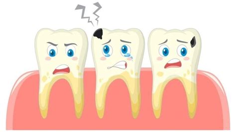 Tooth Split In Half Vertically Causes Symptoms And Solutions
