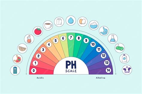 Premium Vector Hand Drawn Ph Scale Infographic