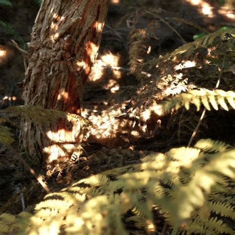 Scanslibrary Scanslibrary Added A New Photo