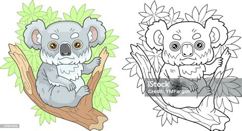 귀여운 코알라 어린이를위한 색칠 공부 만화 일러스트 레이 션 곰에 대한 스톡 벡터 아트 및 기타 이미지 곰 귀여운 나무 Istock