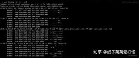 tcpdump详解 实战 知乎