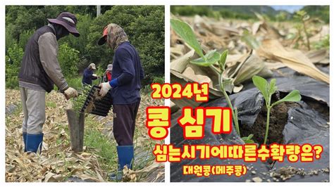 콩파종 콩심기 콩심는적기 양손 모종이식기 콩재배방법 Youtube