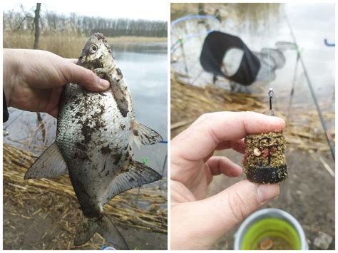 На Дніпропетровщині рибалки показали скільки риби витягли з водойми у найхолодніший день тижня
