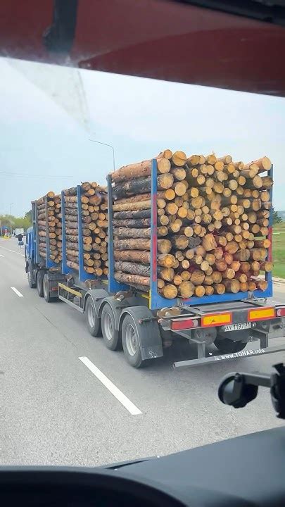 Дальнобой лесовоз фура и пункт назначения дальнобой Youtube