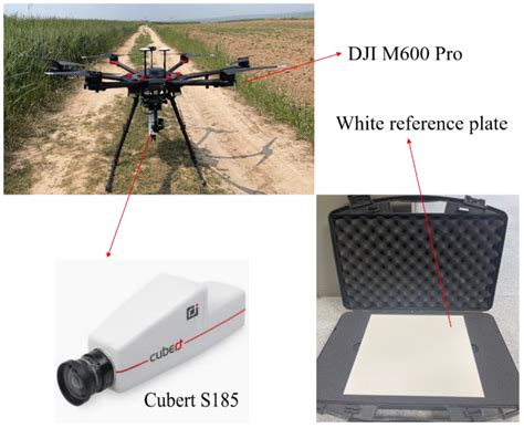 Remote Sensing Free Full Text Estimation Of Winter Wheat Plant Nitrogen Concentration From