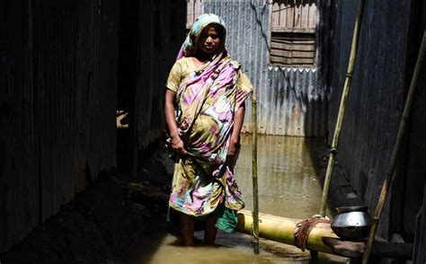 Flood Water And Life
