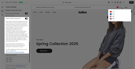 Theme Settings Currency Format