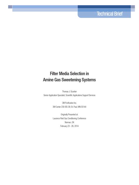 Filter Media Selection In Amine Gas Sweetening Systems Pdf Iron