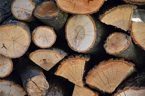 Python Tips And Tricks ─ Logging Part 1 Introduction To Logging By Tum