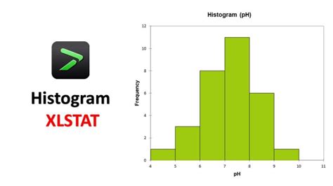 Creating Histograms In Xlstat Visualizing Data Distribution With Excel