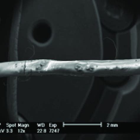 Electron Micrograph Of A Dextran Coated Parylene C Shank Download