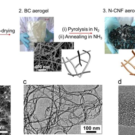A Schematic Diagram Of The Synthetic Steps B C Sem And Tem Images Download Scientific