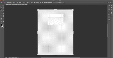 Help With Setting Up Canvas And Perspective Grid Svslearn Forums