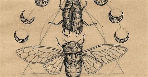 Something Ive Been Working On Imgur