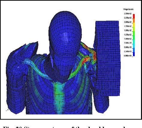 Figure 11 From Development Of A Human Body Finite Element Model For
