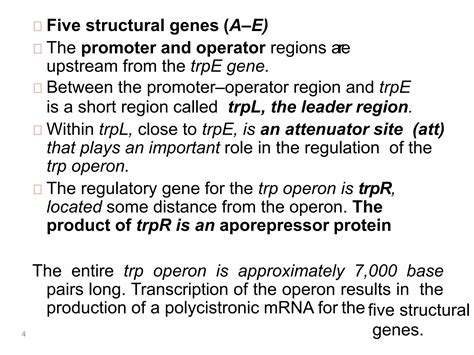 Tryptophan Operon Gp 102 Pptx Chemistry Science