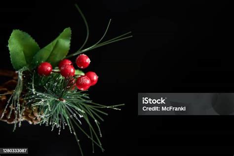 검은 색 배경에 소나무 콘과 붉은 열매를 가진 전나무 가지 가문비나무에 대한 스톡 사진 및 기타 이미지 가문비나무 갈색 검은색 Istock