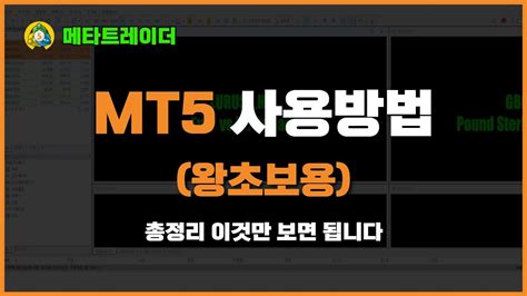 메타트레이더 사용법 Mt5 Mt4 총정리 초보자 가이드 Youtube