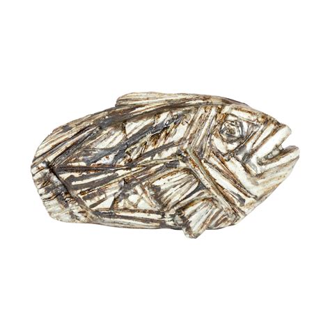 Fossilized Dire Wolf Skull 236 Lb For Sale At 1stdibs