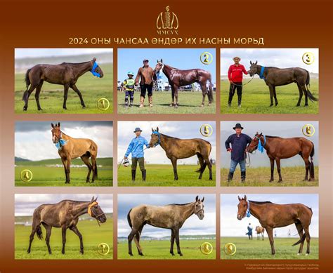 🇲🇳 МОНГОЛ ММСУХ Монголын Морин Спорт Уяачдын Холбоо Facebook