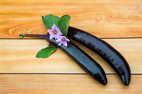 겨울철 면역력 높이는 진보라색 식재료 8가지 정책뉴스 뉴스 대한민국 정책브리핑