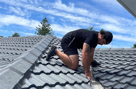 Building Inspection Sydney Property Inspector Pre Purchase Report