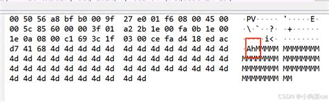 Cfthub Misc 流量分析ctfhub Lengthbinary Csdn博客
