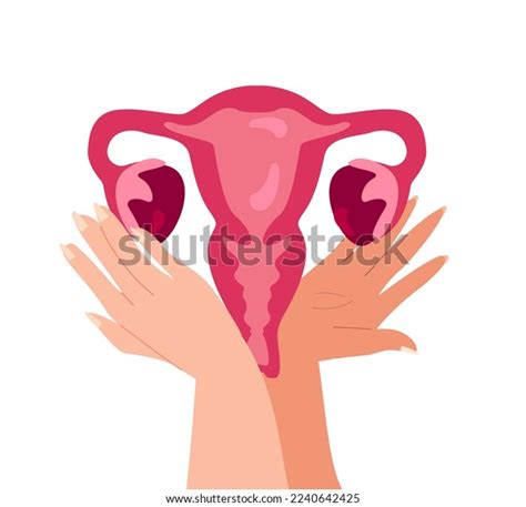 Hands Support Female Reproductive System Womb Stock Vector Royalty