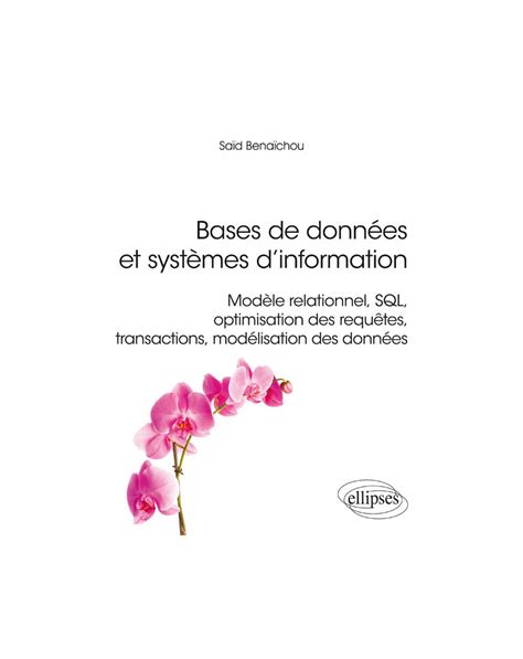 Bases De Données Et Systèmes Dinformation Modèle Relationnel Sql Optimisation Des Requêtes