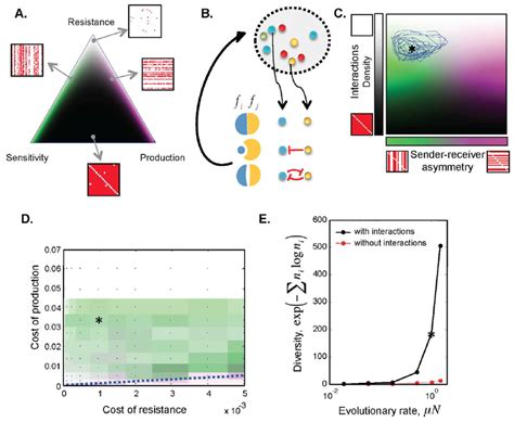 Balanced And Moderately Sender Determined Matrices Emerge Naturally