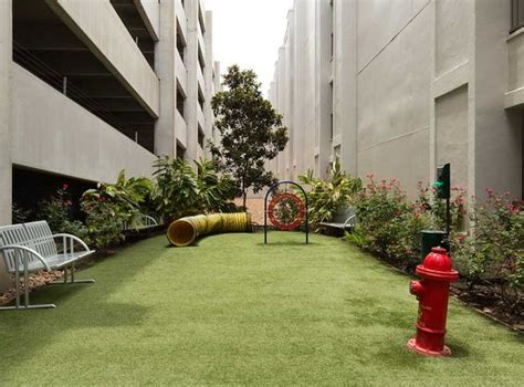 ТОП 10 решений для создания дог френдли среды в жилых проектах Консалтинговое агентство Gmk