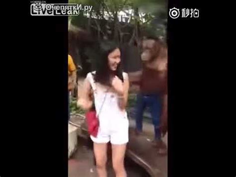 Обезьяна пристаёт к девушке ххх - YouTube