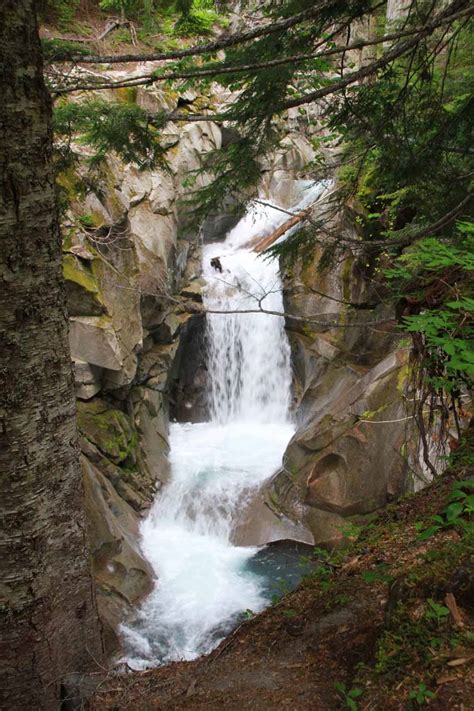 Comet Falls One Of The Tallest Waterfalls On Mt Rainier