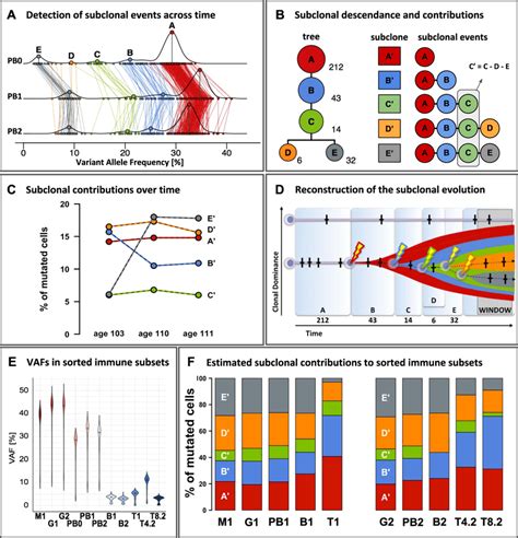 Deep Sequencing Of Longitudinal Samples Reveals The Clonal Architecture Download Scientific