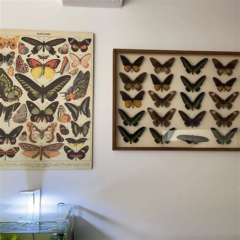 Aim Advanced Identification Methods Gmbh Home