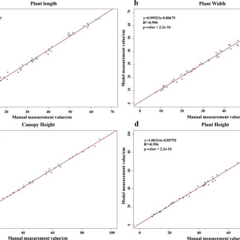 Accuracy Analysis Of Phenotype Extraction Values Based On 3d Model And