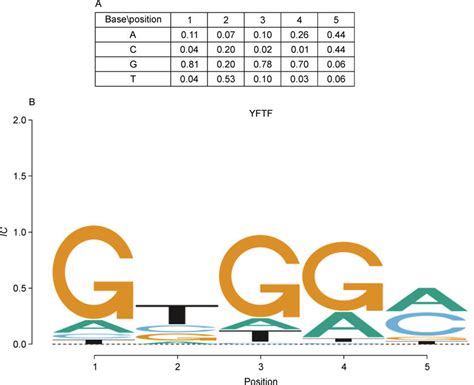 Position Frequency Matrix Pfm And Information Content Logo A The Download Scientific