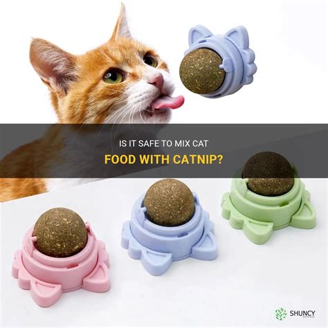 Is It Safe To Mix Cat Food With Catnip Shuncy