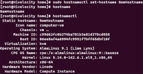 How To Change The Hostname Of A Server Hivelocity Hosting