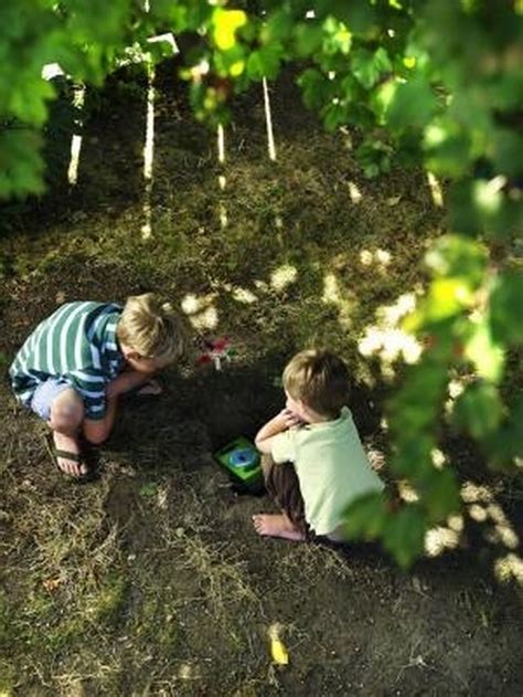 How To Grow Back Grass In Dead Patches Hunker